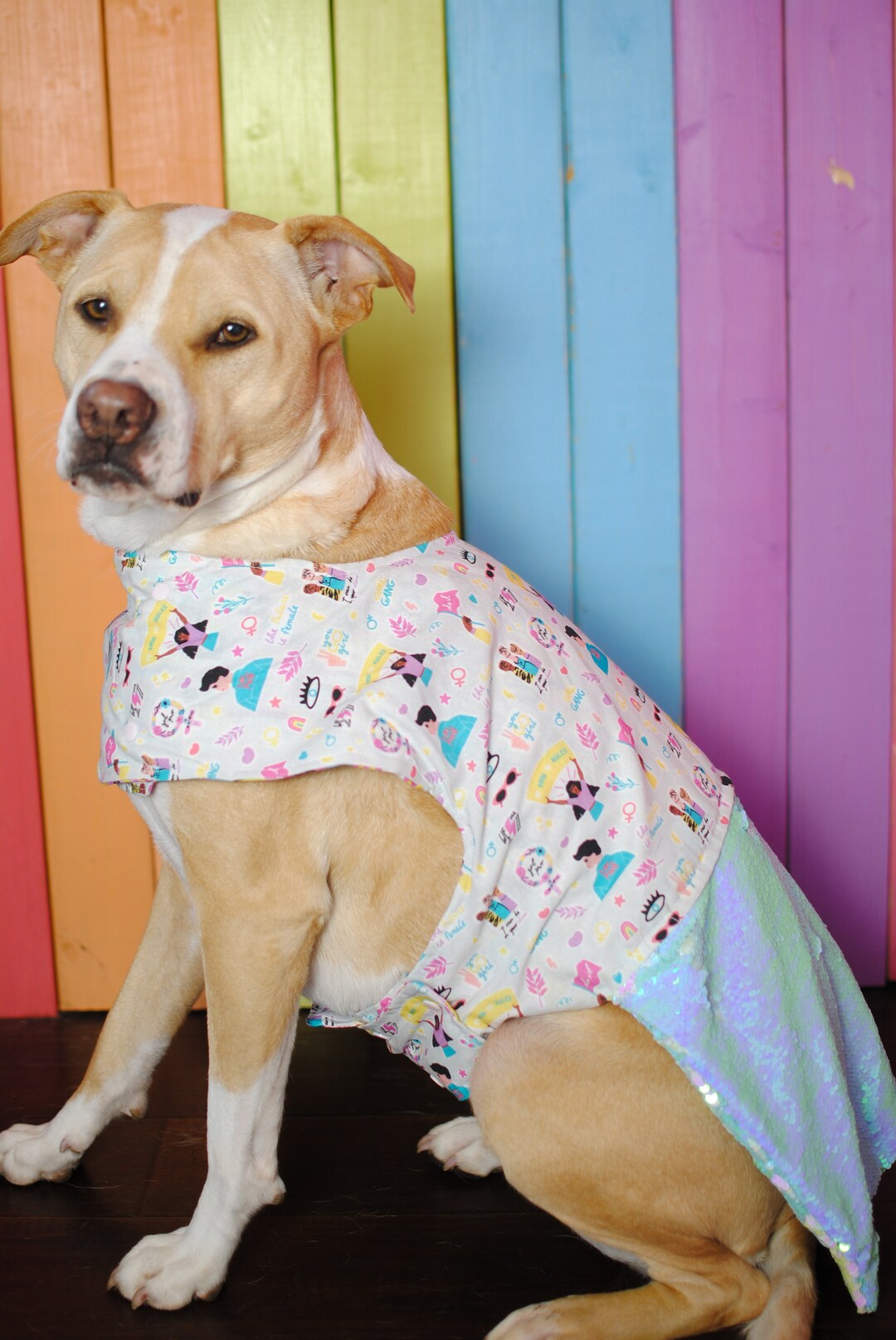 Girl Power Sequin Cotton Adjustable Dog Dress - Etsy