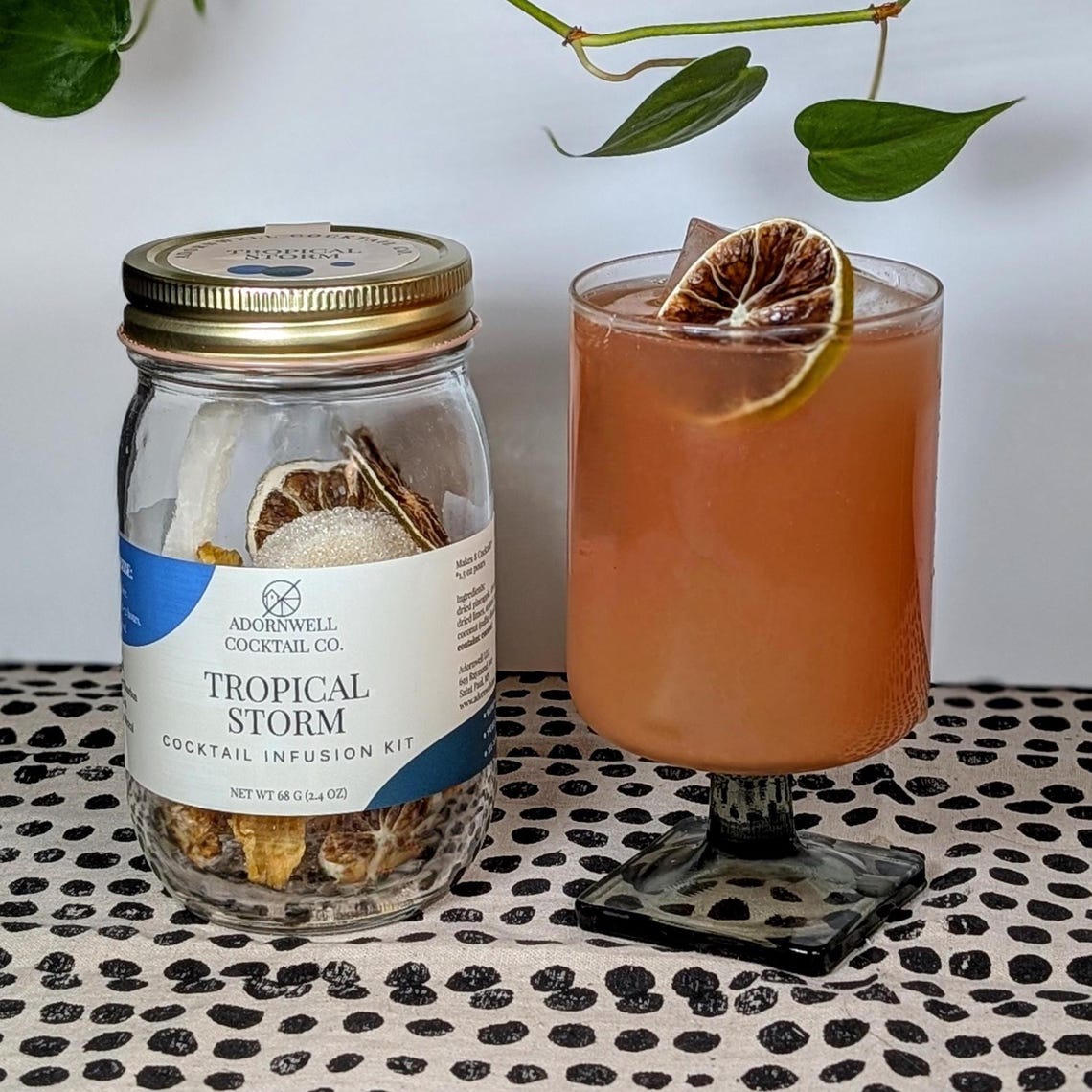 Tropical Storm Cocktail Infusion Kit - Etsy