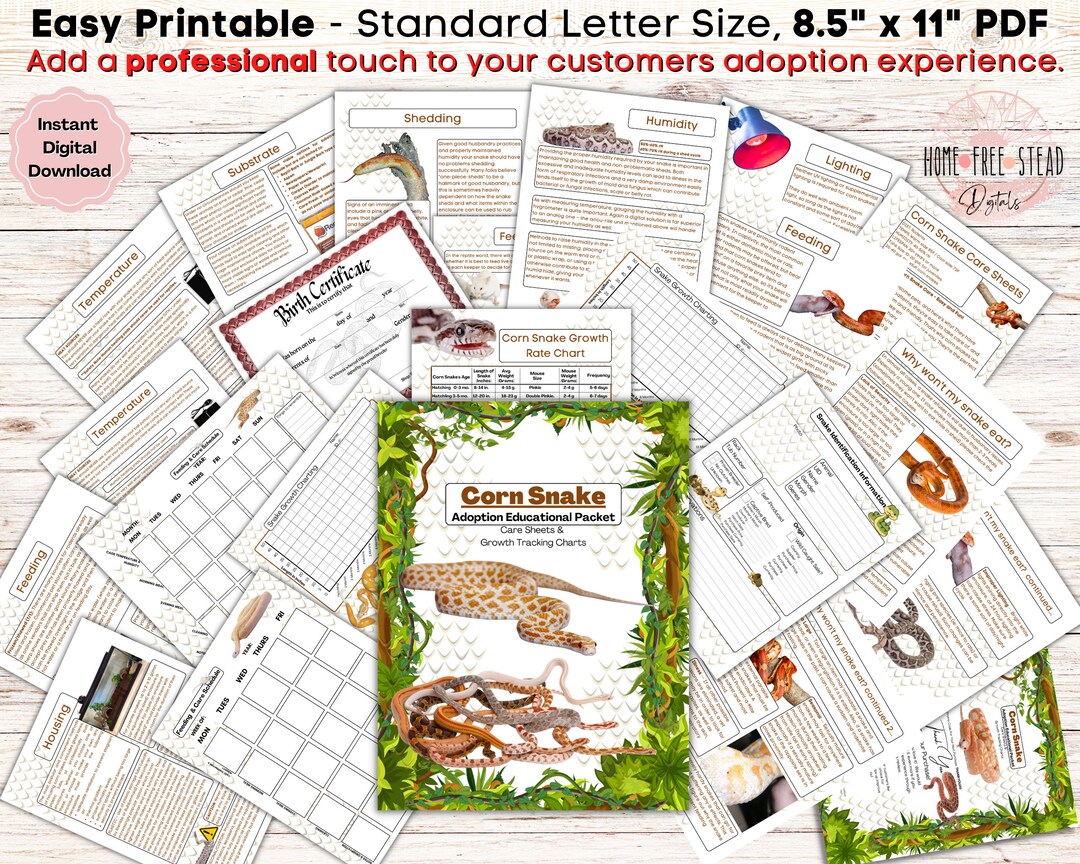 Corn Snake Adoption Success PDF, Reptile Breeder, Snake Breeder Pdf ...