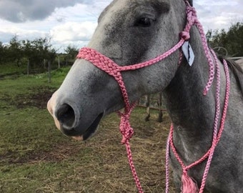 Mule tape halter | Etsy