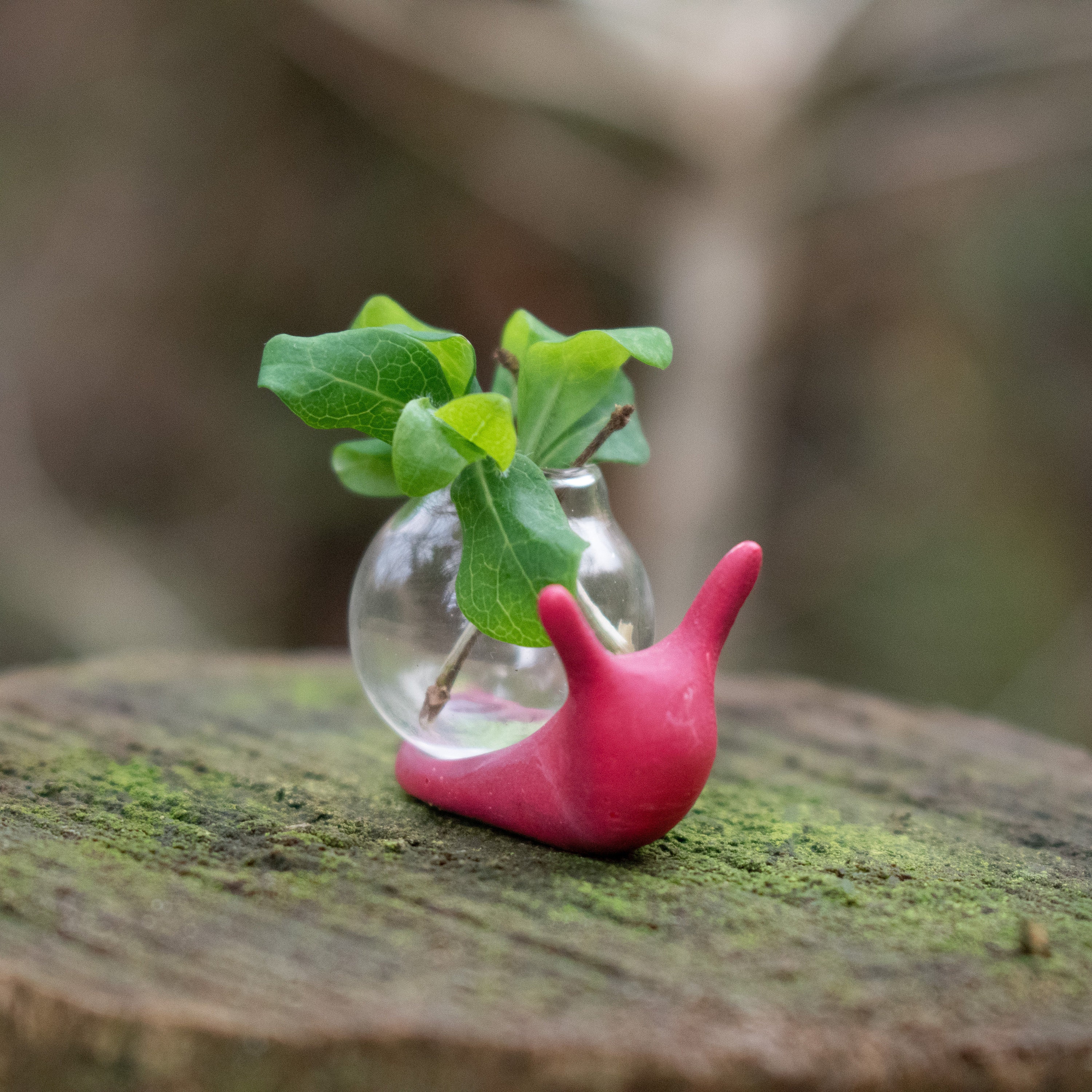Red & Green Slug/snail Resin Ornament With Mini Glass Bowl/vase/shell ...