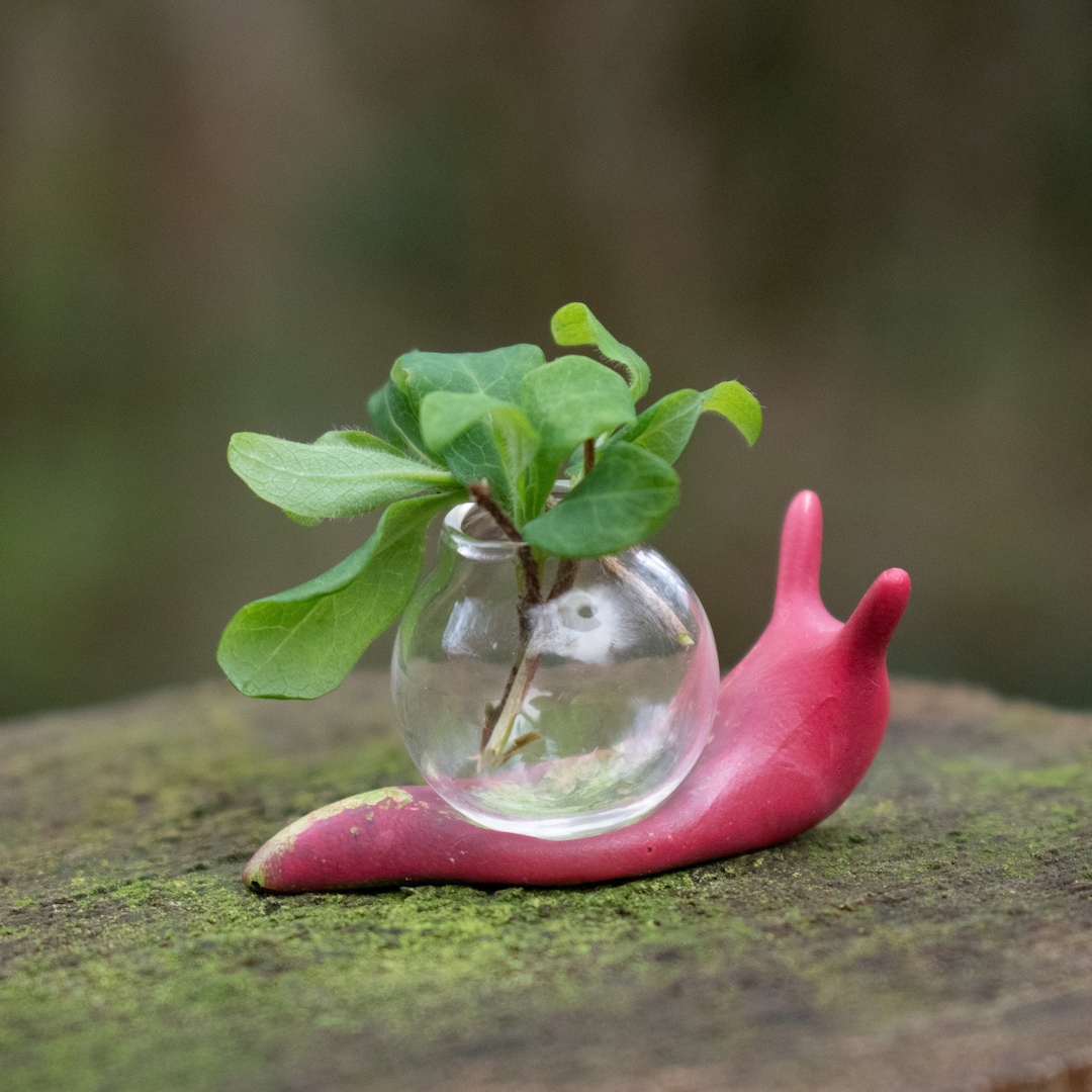 Red & Green Slug/snail Resin Ornament With Mini Glass Bowl/vase/shell ...