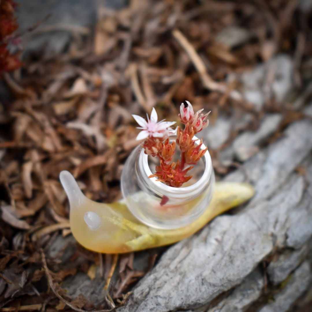 Yellow Slug/snail Resin Ornament With Mini Glass Bowl/vase/shell - Etsy