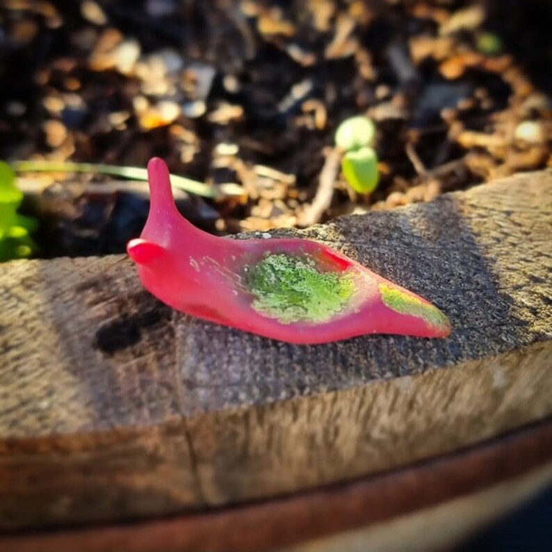 Red & Green Slug/snail Resin Ornament With Mini Glass Bowl/vase/shell ...