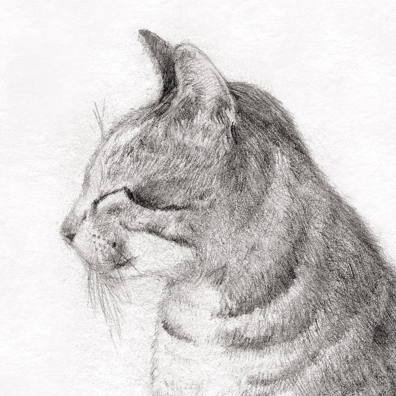 Cat Drawing DIGITAL DOWNLOAD Printable Wall Art Wall Decor Painting ...