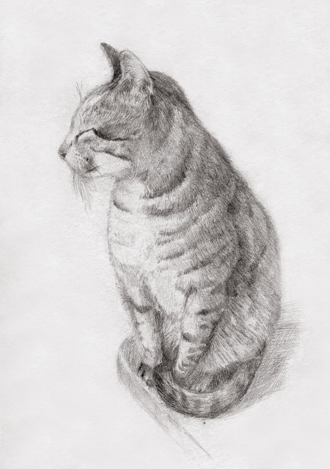 Cat Drawing DIGITAL DOWNLOAD Printable Wall Art Wall Decor Painting ...