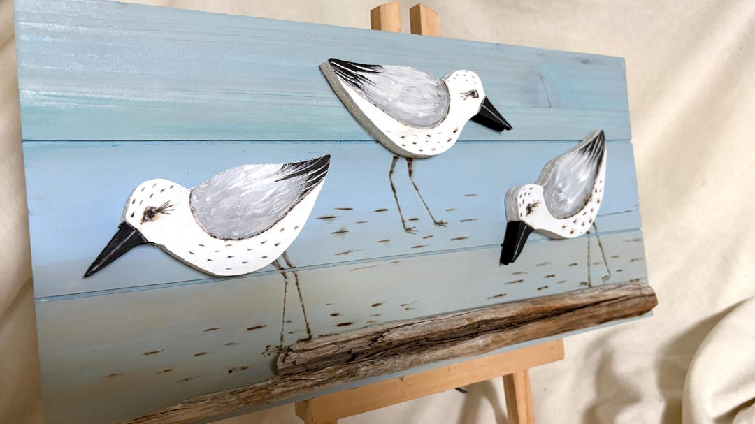 Sand Piper Trio With Driftwood Piping Plover Seabird Coastal Beach ...
