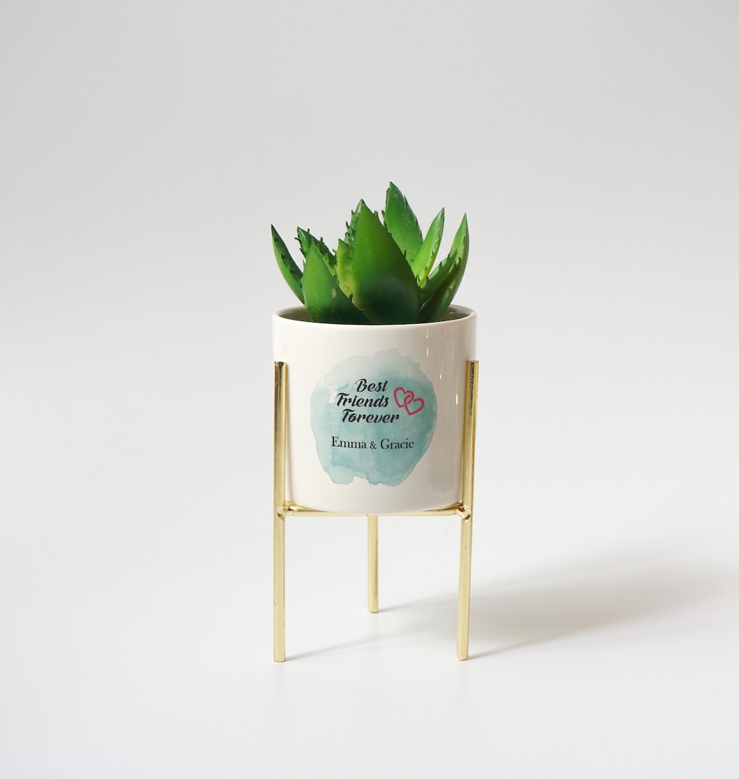 Custom Best Friends Plant Pot, Personalized Friendship Planter for ...