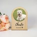 Custom Pet Memorial Photo Plaque Personalised Pet RIP Plaque - Etsy