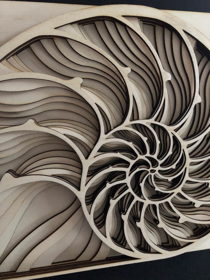 MIAGILASER Nautilus Shell Wood Mandala: 3D Layered Wall Art, Home Decor ...