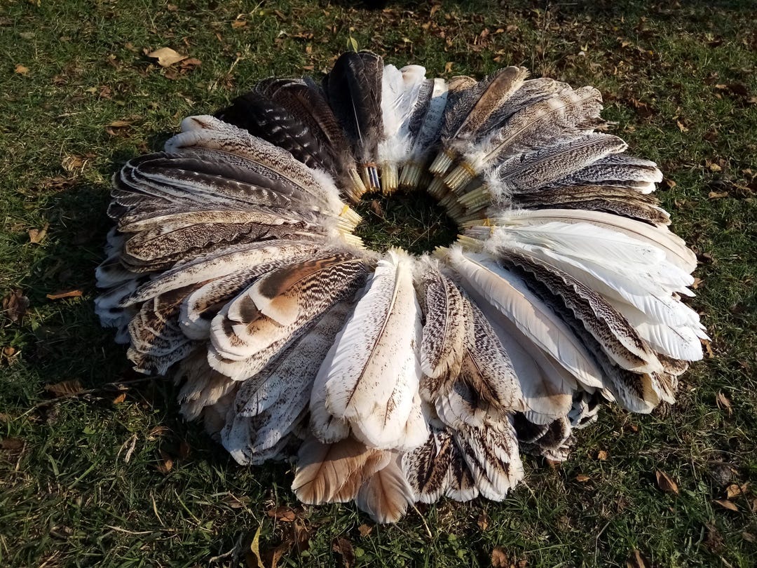 Turkey Wing Feathers, 10 Pairs of Amazing Feathers, Native American ...