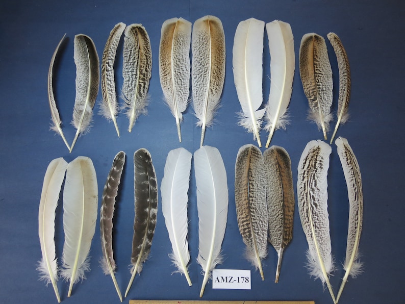 10 Pairs of Turkey Wing Feathers, Fly Tying Material, Hybrid Turkey ...