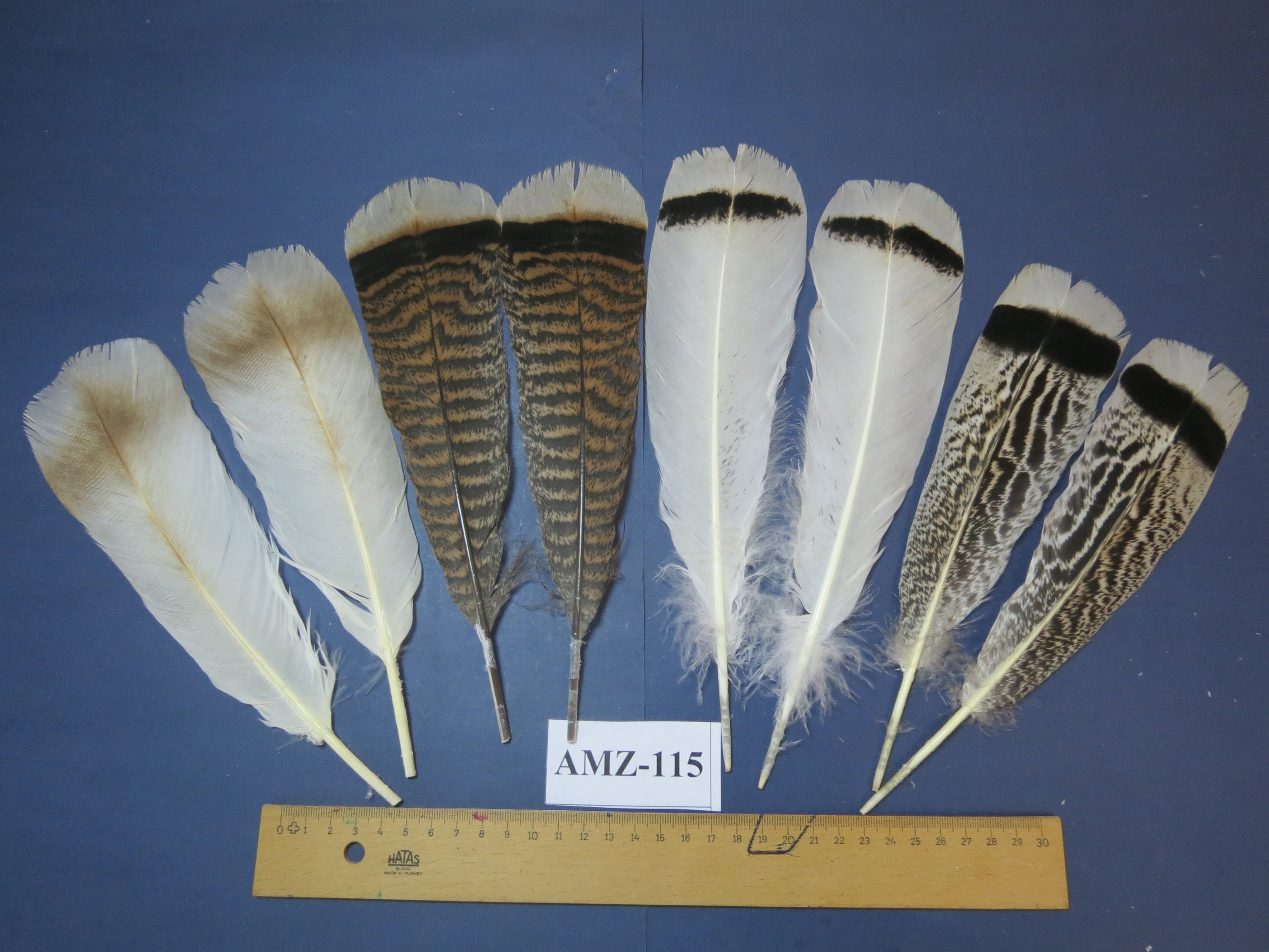 Set of 4 Turkey Featherstail Feathers Natural Feathers Fly - Etsy