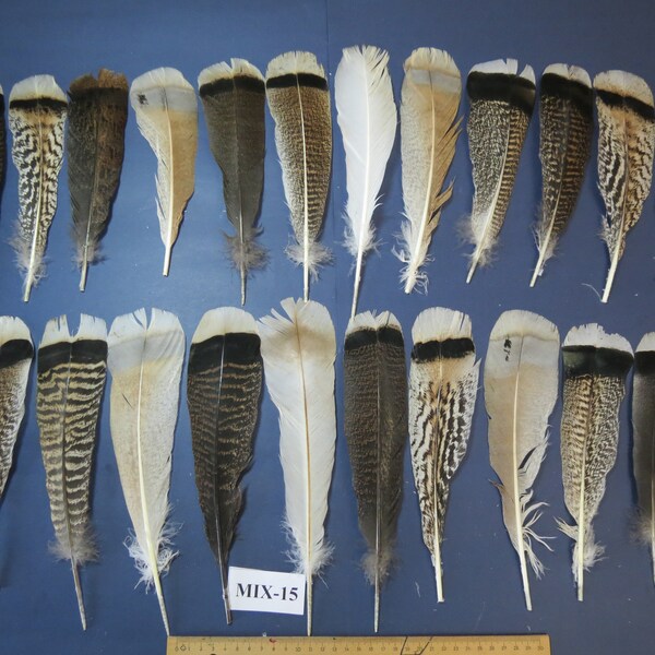Turkey Wing Feathers - Etsy