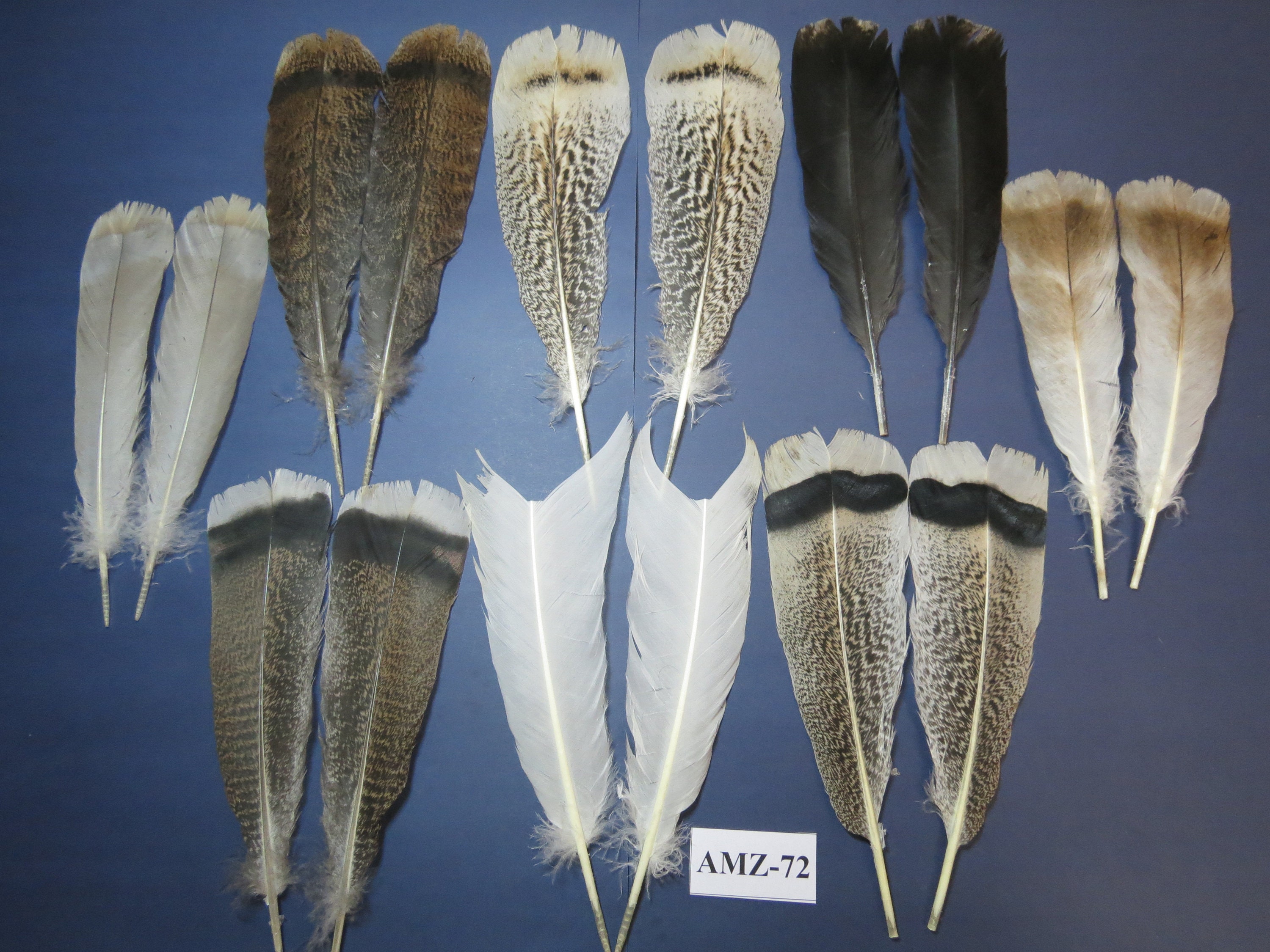 8 Pairs Of. Turkey Feathers,tail Feathers, Natural Feathers,watercolor ...