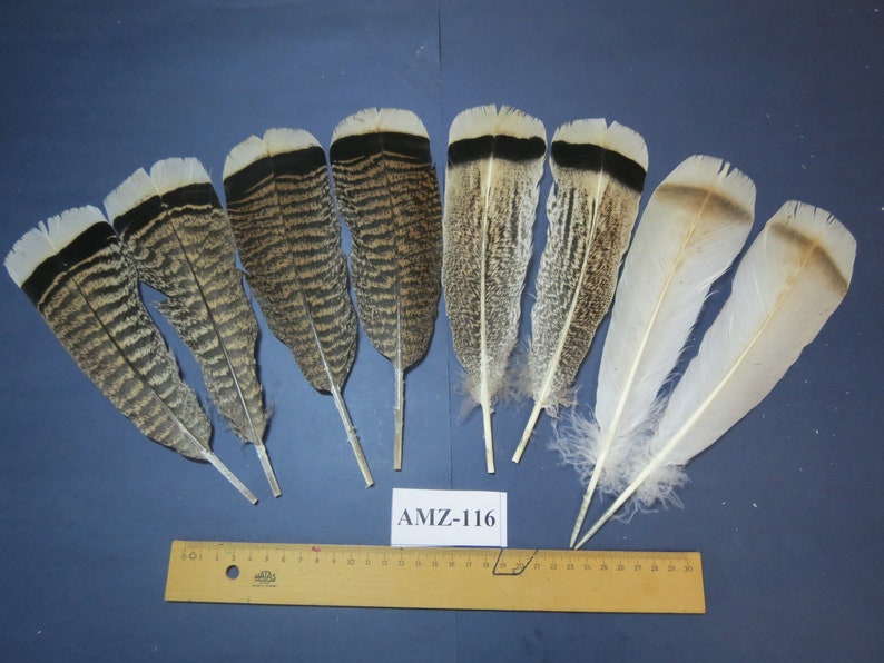 Set of 4 Turkey Feathers,tail Feathers, Natural Feathers, Fly Tying ...