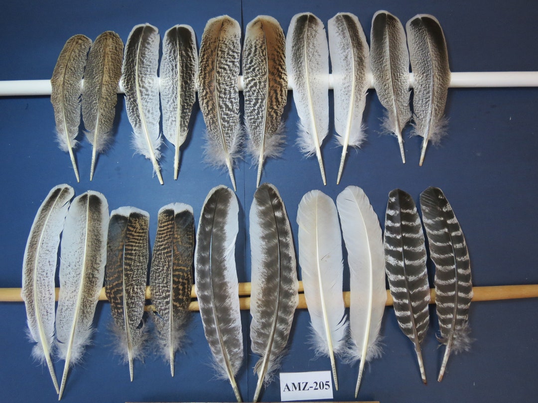 10 Pairs of Turkey Wing Feathers, Fly Tying Material, Hybrid Turkey ...