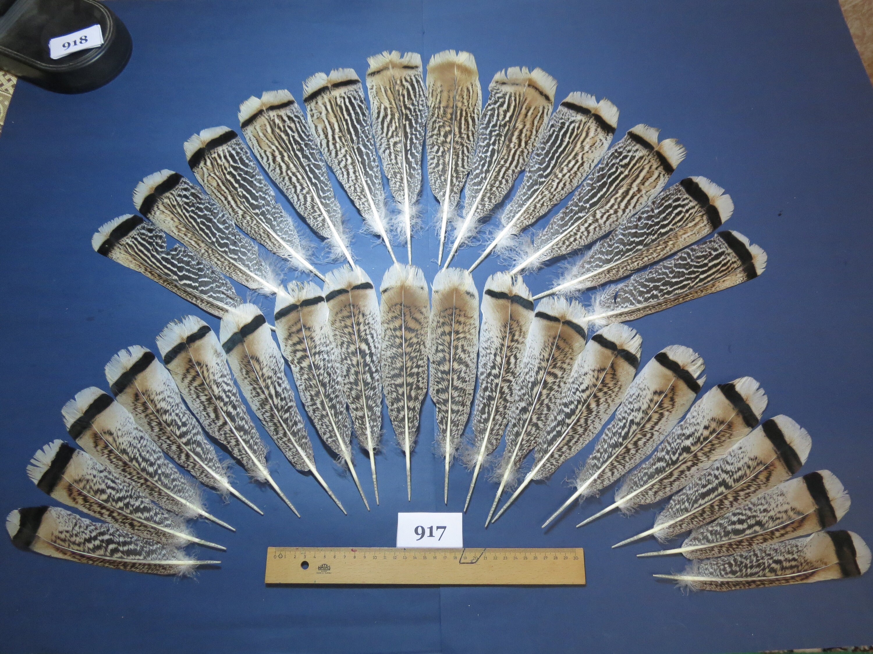 30 Pcs. Turkey Feathers, Tail Feathers, Real Feathers, Rare Feathers ...