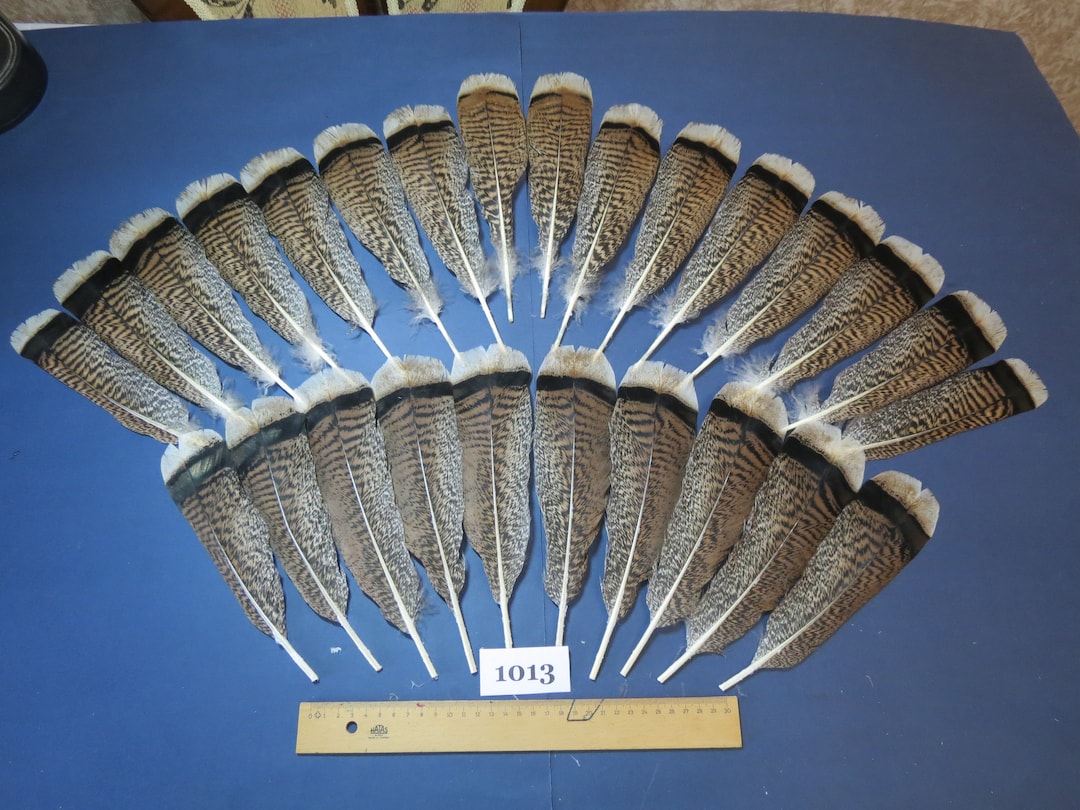 26 Pcs.turkey Feathers,rare Feathers, Natural Feathers,turkey Tail ...