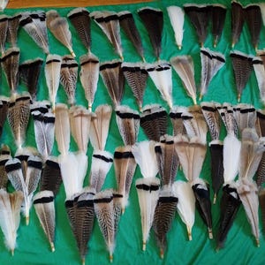 30 Pcs. Assorted Turkey Feathers, Tail Feathers, Wing Feathers, Small ...