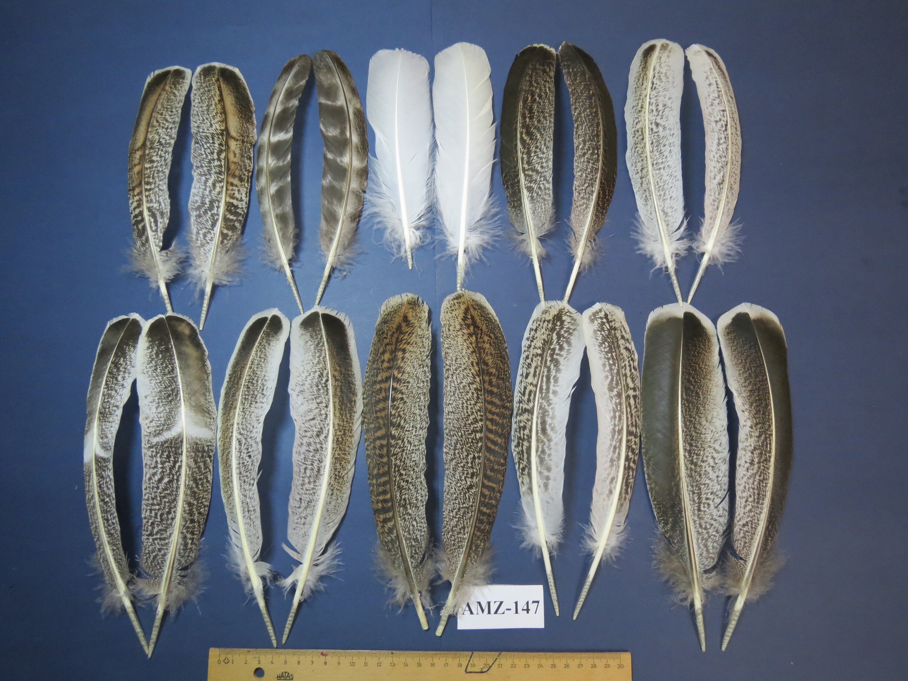 10 Pairs of Turkey Wing Feathers, Fly Tying Material, Hybrid Turkey ...