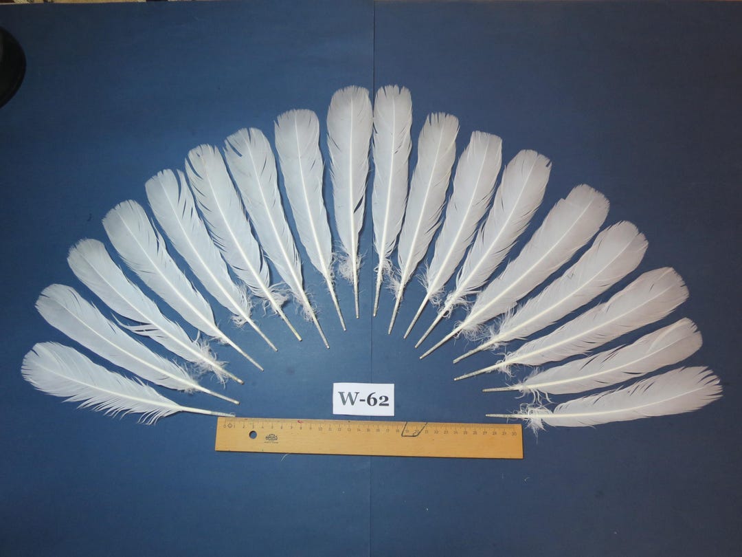 18 Pcs White Turkey Feathers, Small Size Tails, Fly Tying Material, fib ...