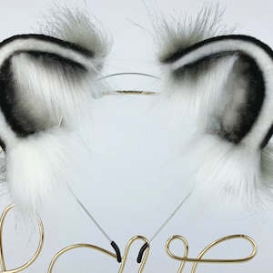 Faux Fur Raccoon Ear and Tail Plug Set Raccoons Ear and Tail Plug Set ...