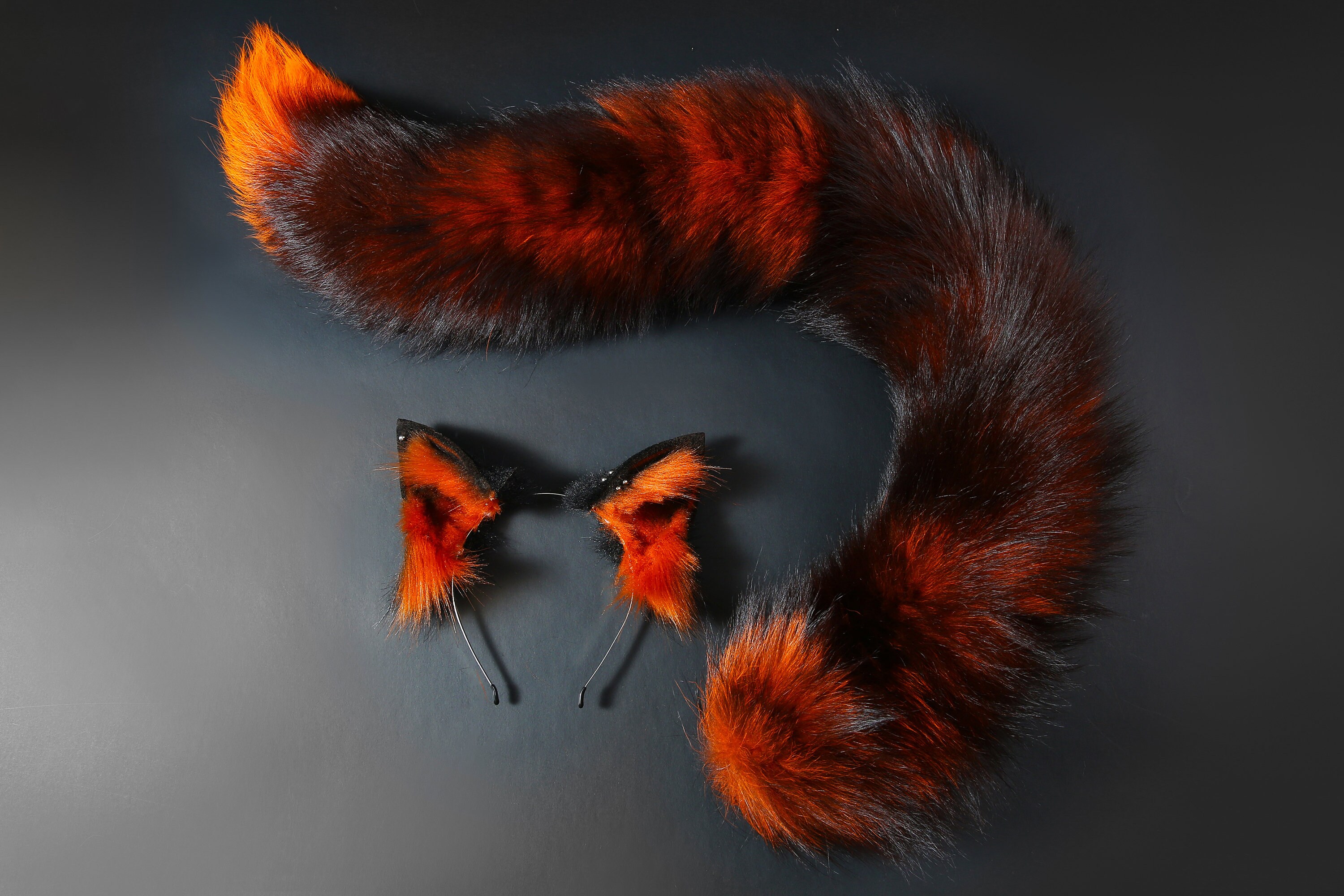 Fox Tail And Ears