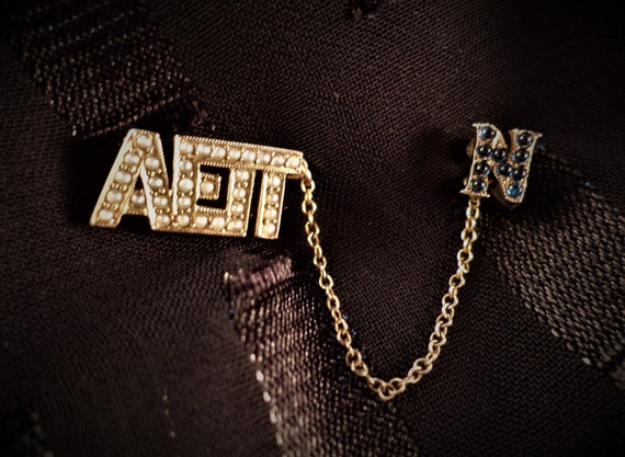 Alpha Epsilon Pi Pin 10K Gold Two-part Aepi Pearl Lapel Pin | Etsy