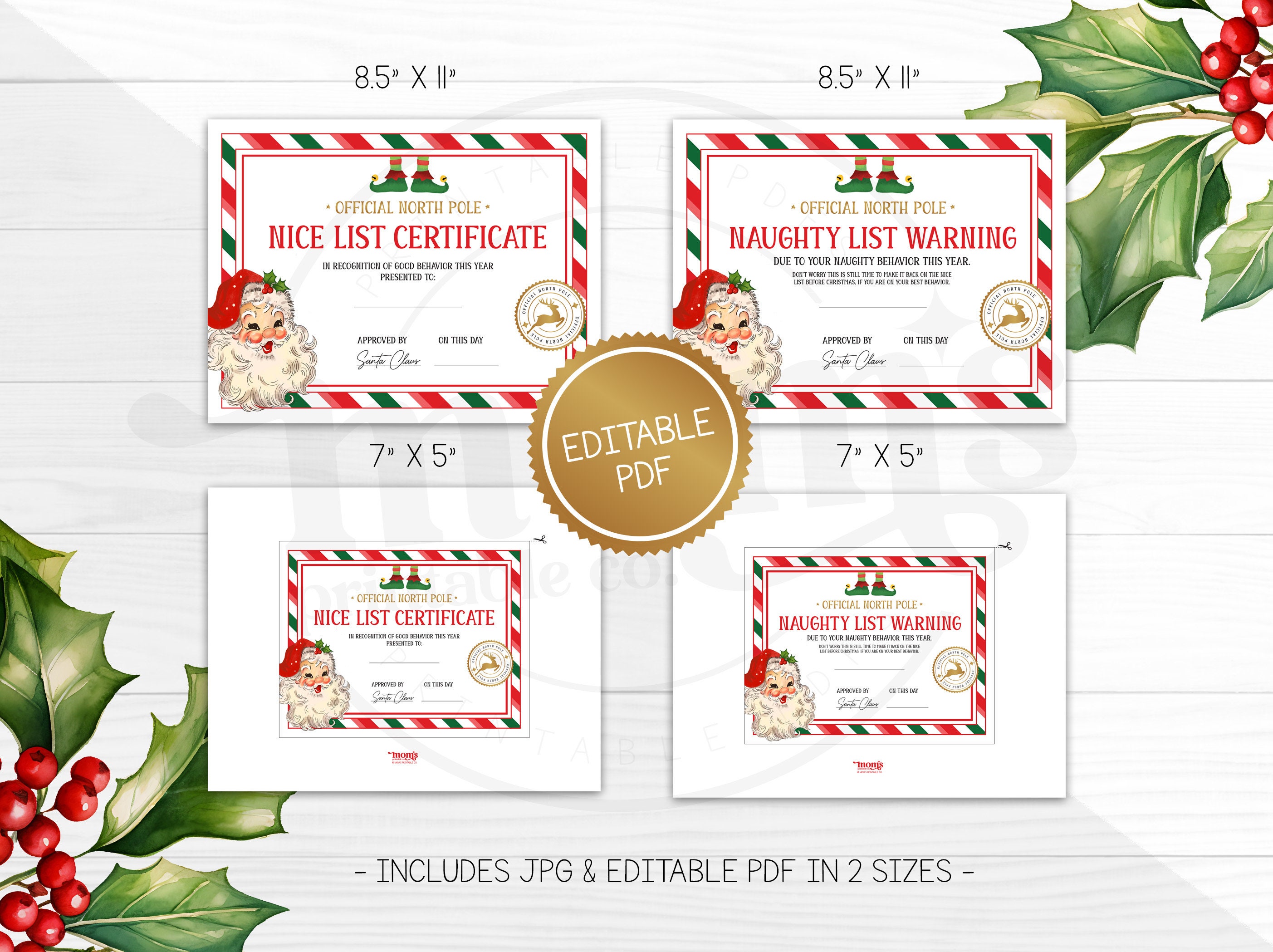 Official Santa Nice & Naughty List Certificate, Christmas Printable ...