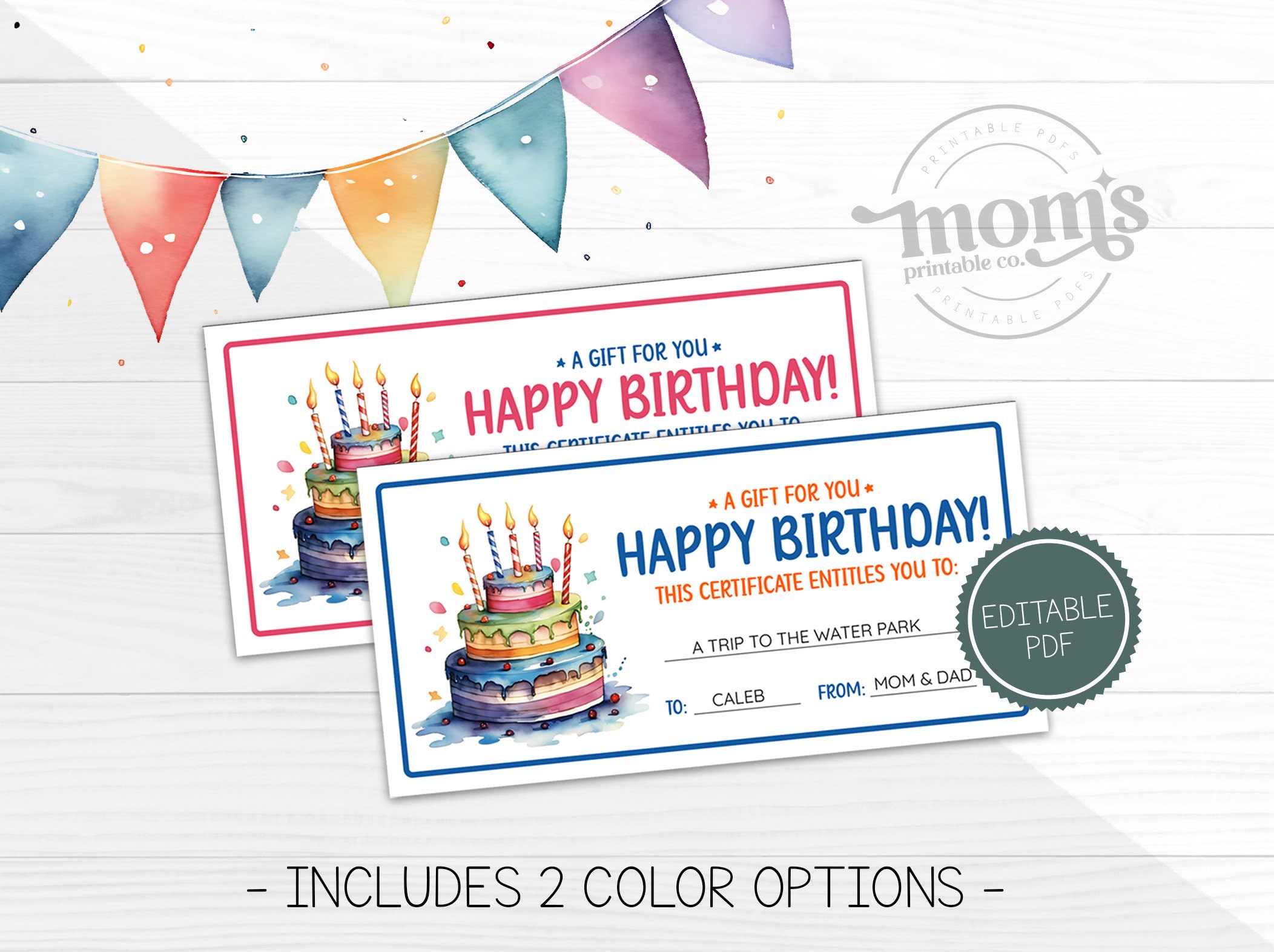 Kids Birthday Gift Certificate Template, Voucher Template, Kids ...