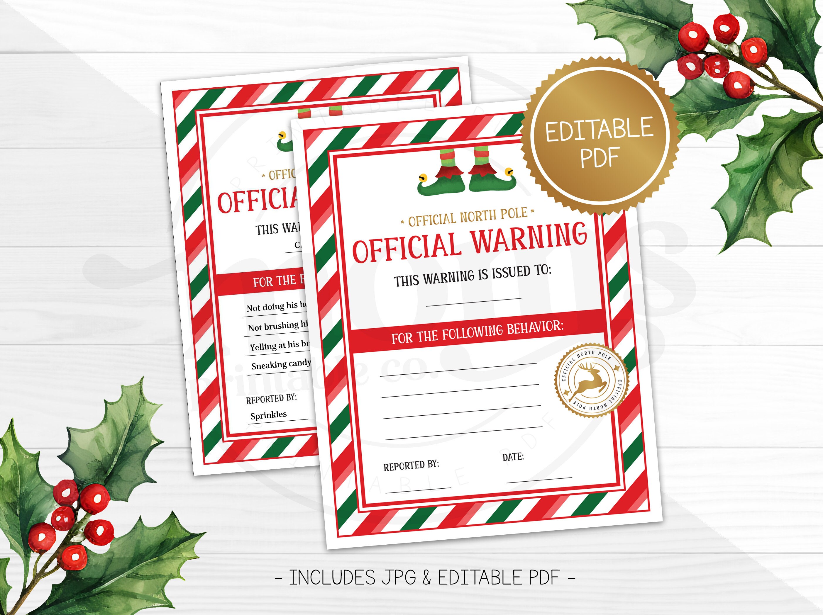 Official Santa Warning Certificate, Christmas Printable Activity for ...