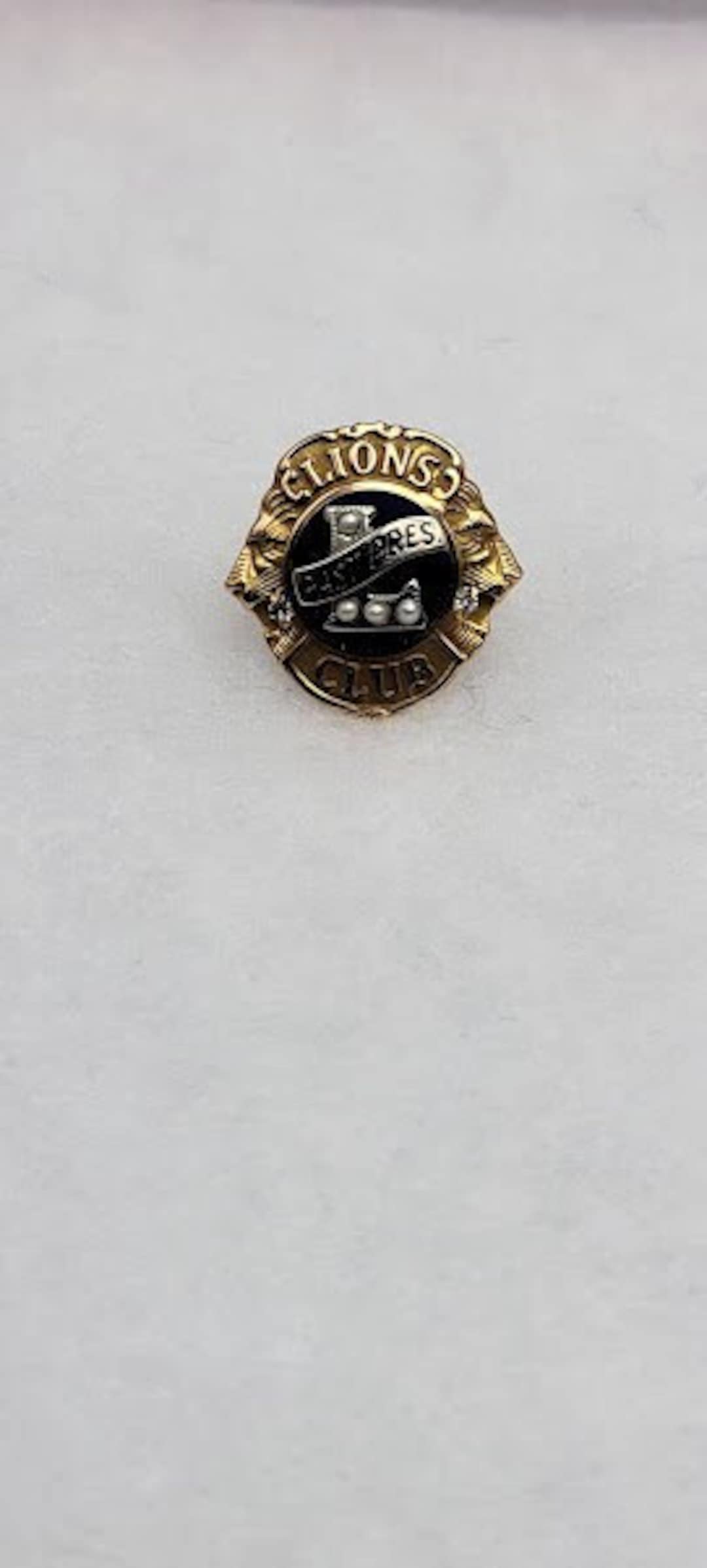 Vintage Lions Club Past President 10k Gold Lapel Pin - Etsy