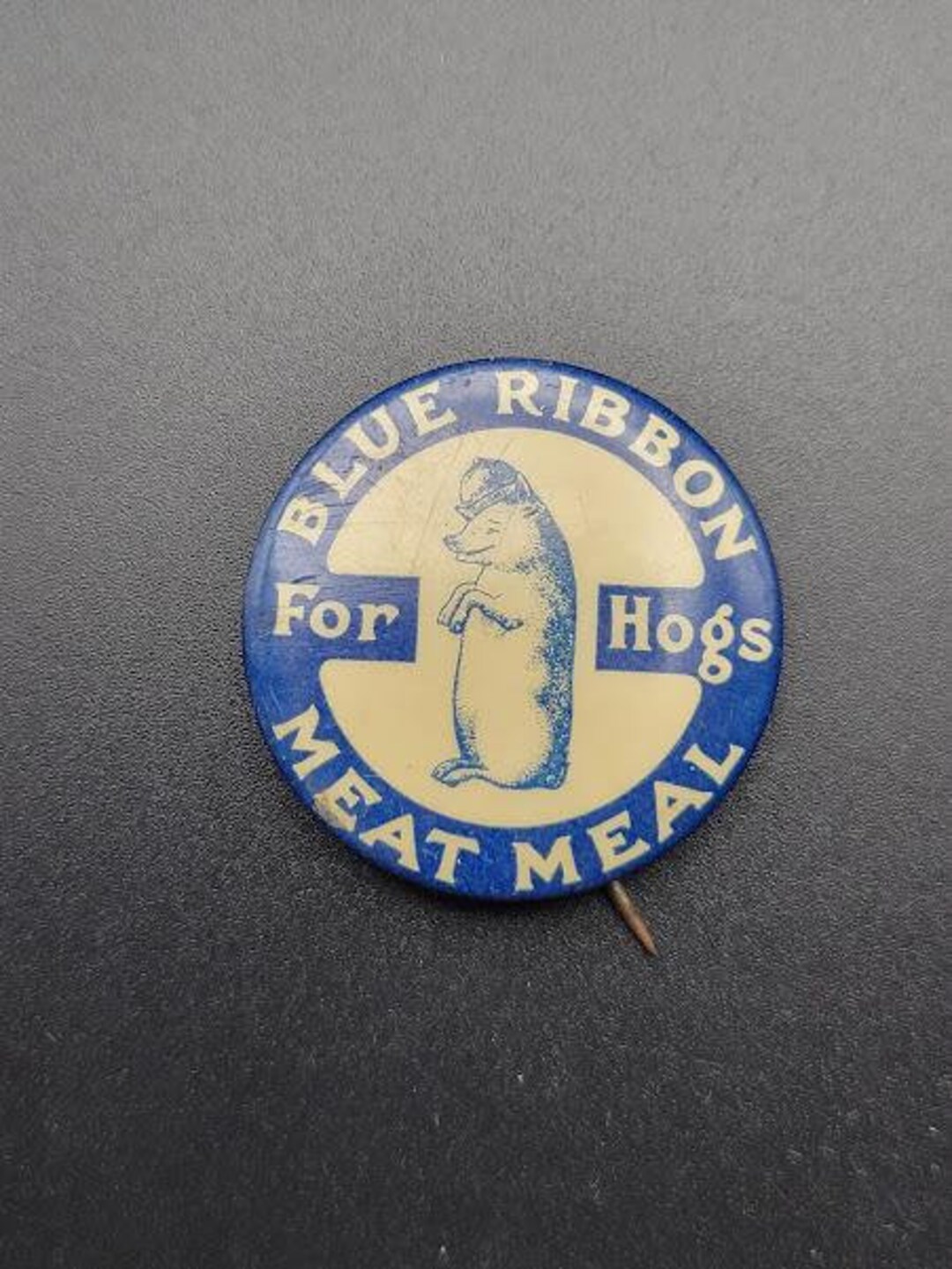 Antique Blue Ribbon Meat Meal for Hogs Celluloid Pinback Button - Etsy