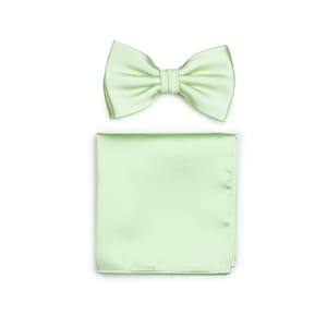 Light Mint Tie | Men's Necktie in Light Mint Green | Solid Color Ties ...