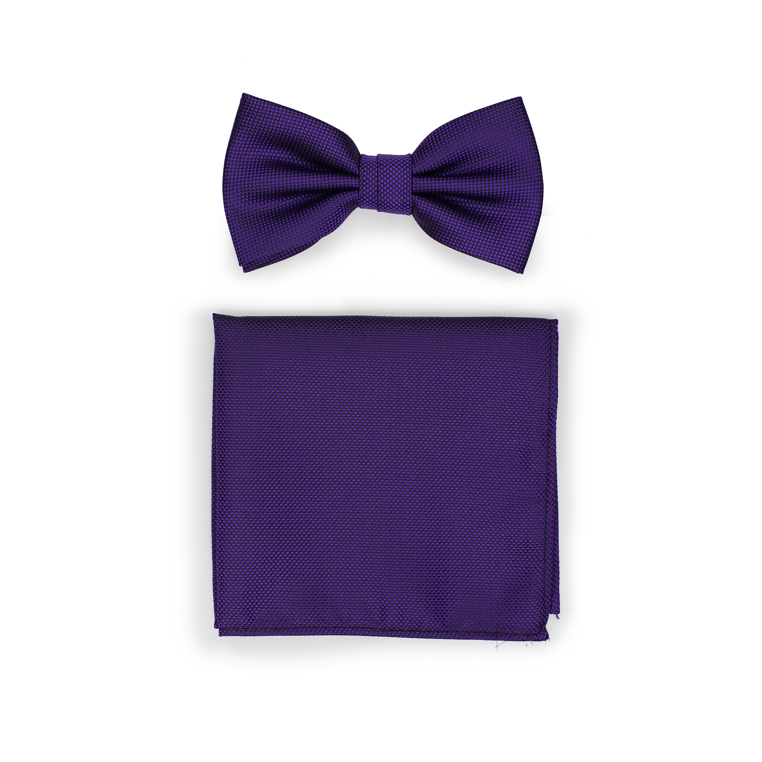 Color Regency Purple