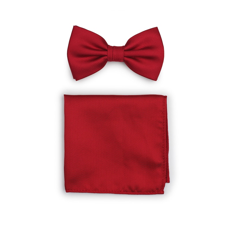 Red Tie in Matte Finish | Solid Color Tie in Bright Cherry Red | Mens ...