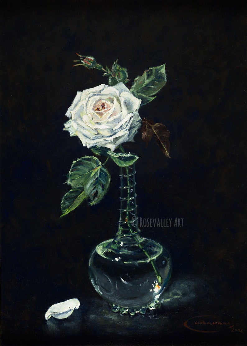 White Rose, Art Print - Etsy