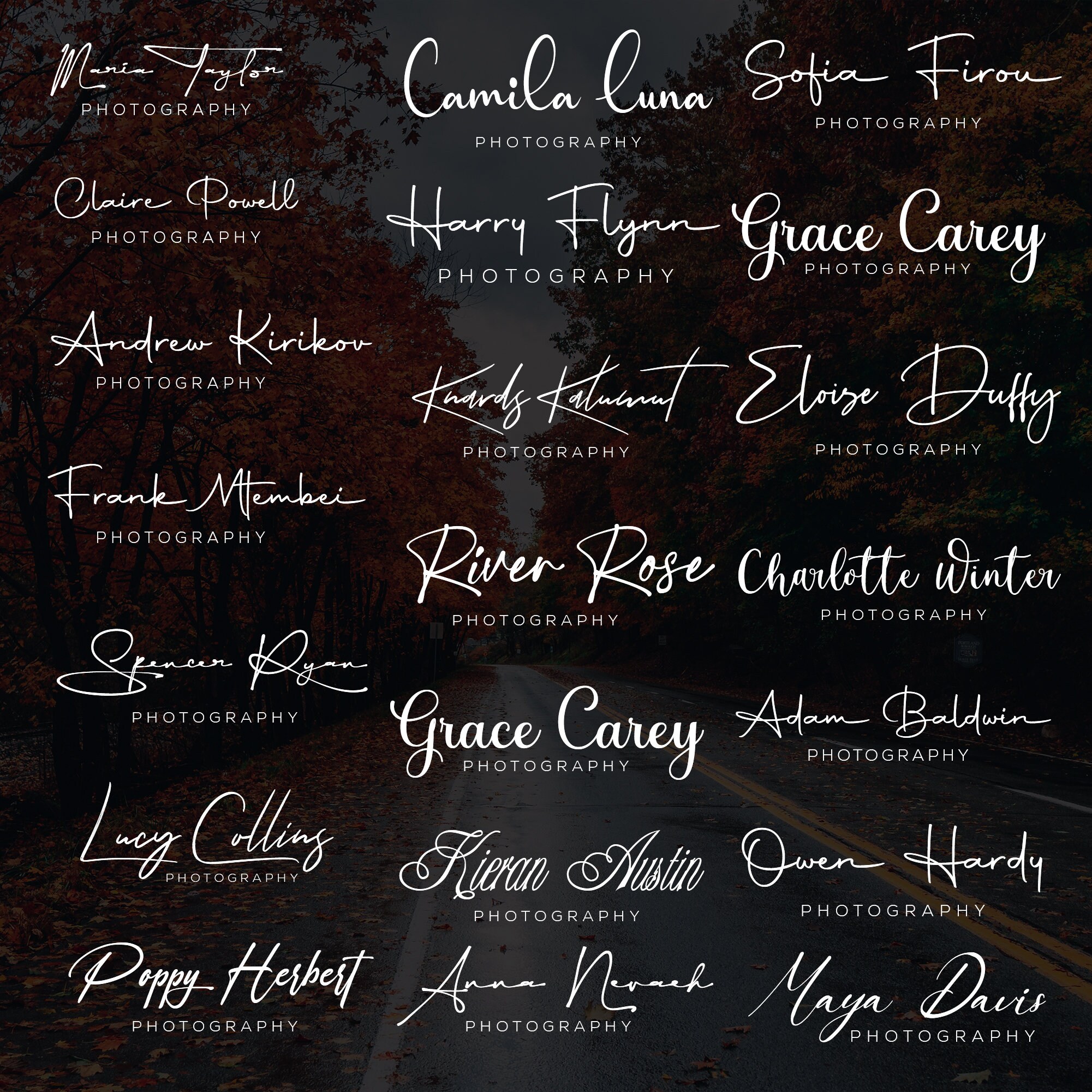 Signature Logo Design, Signature Logo, Personalized Handwritten Style ...