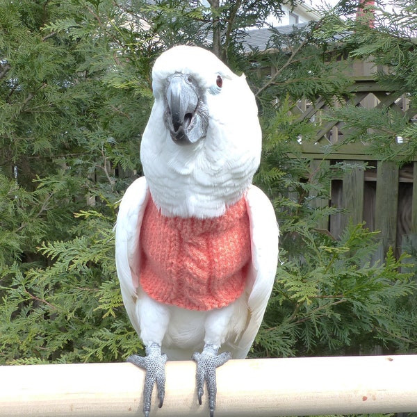 Parrot Costume - Etsy