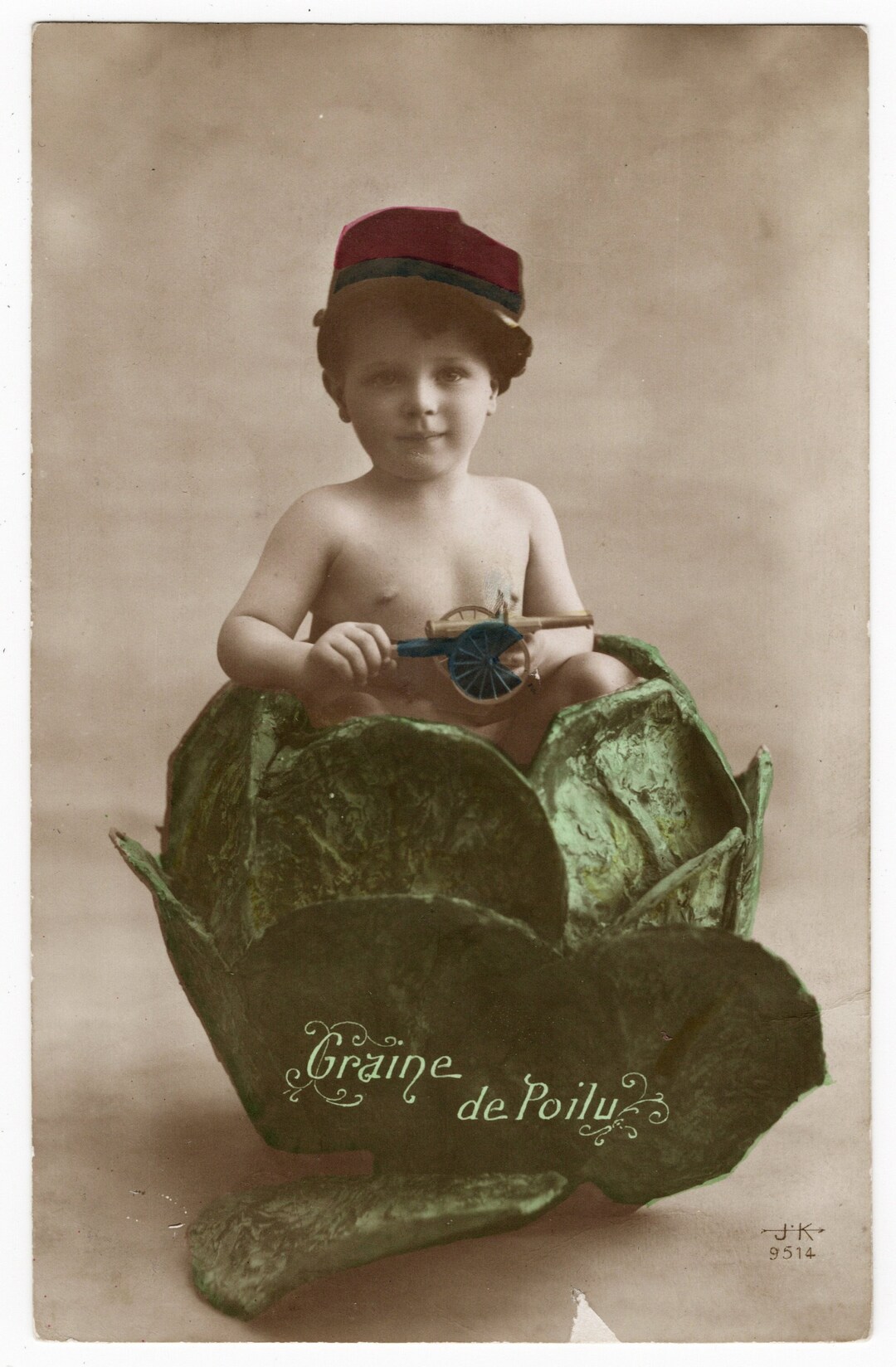 1910's Photo 'cabbage Boy' Baby Boy in a Cabbage, Toy Canon, Hand ...