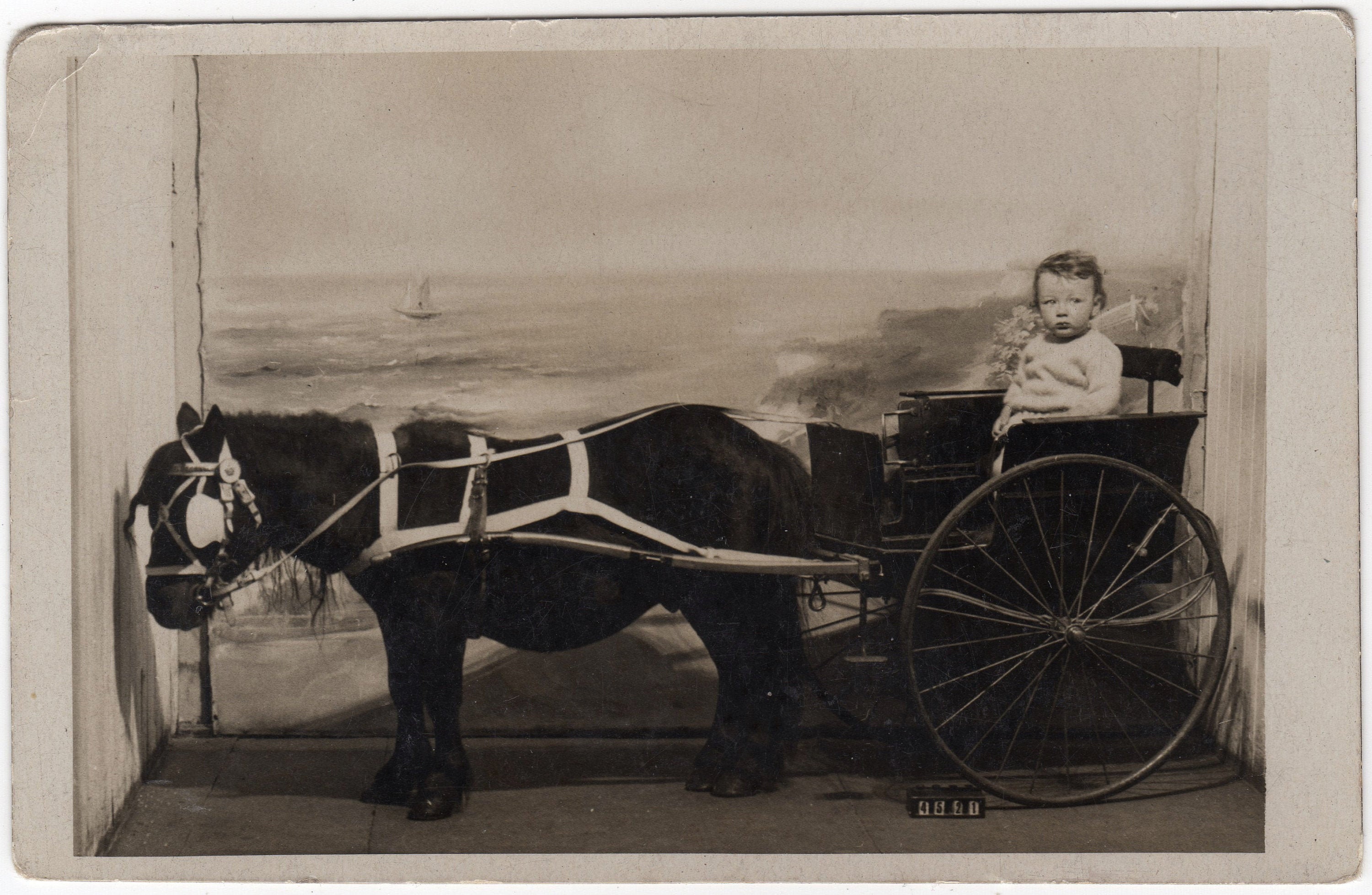 Mini Pony Cart for sale | Only 2 left at -75%