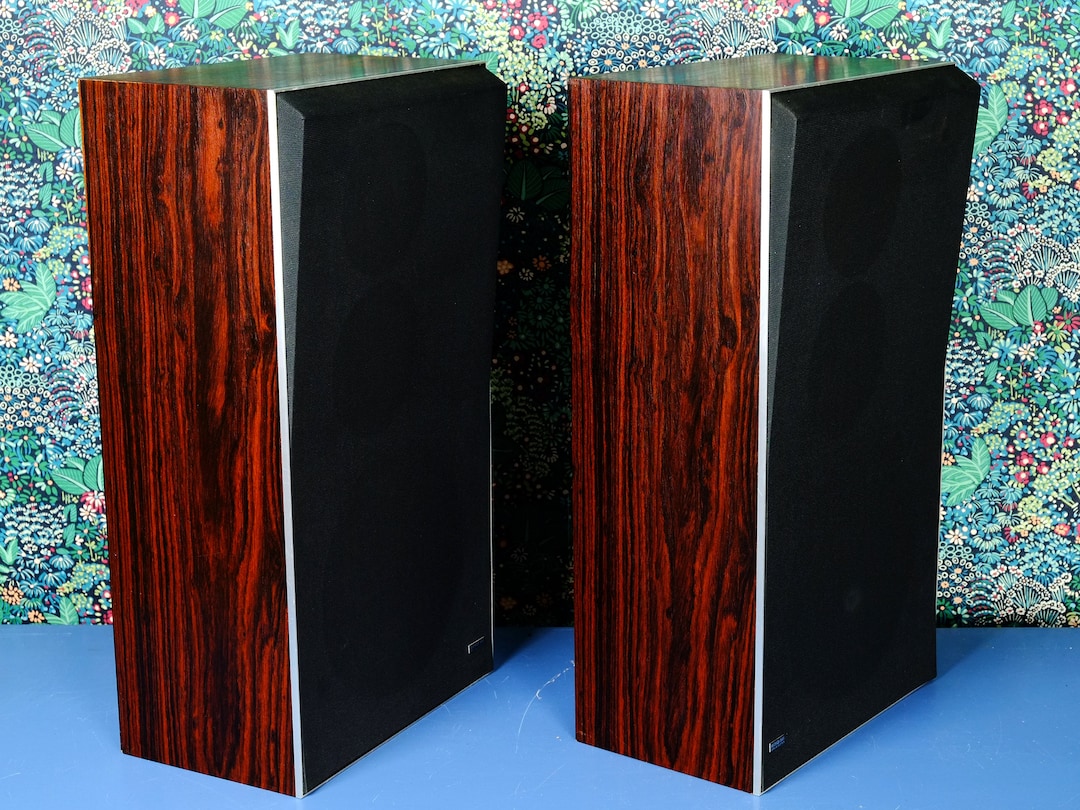 Vintage BANG and OLUFSEN B&O BEOVOX S45-2 Passive Loudspeakers Danish ...