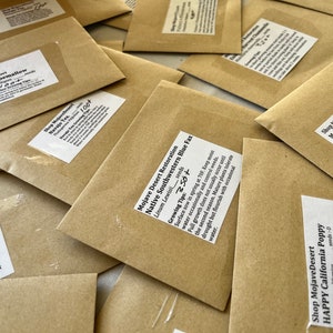 Special Screwbean Mesquite 10 Seeds Xeriscape Drought Resistant Desert ...