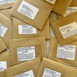 Special Screwbean Mesquite 10 Seeds Xeriscape Drought Resistant Desert ...