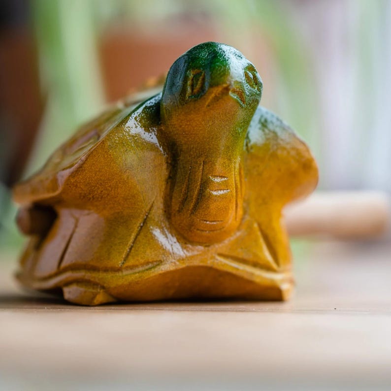 Wood Turtle Guiro Musical Percussion Instrument - Etsy