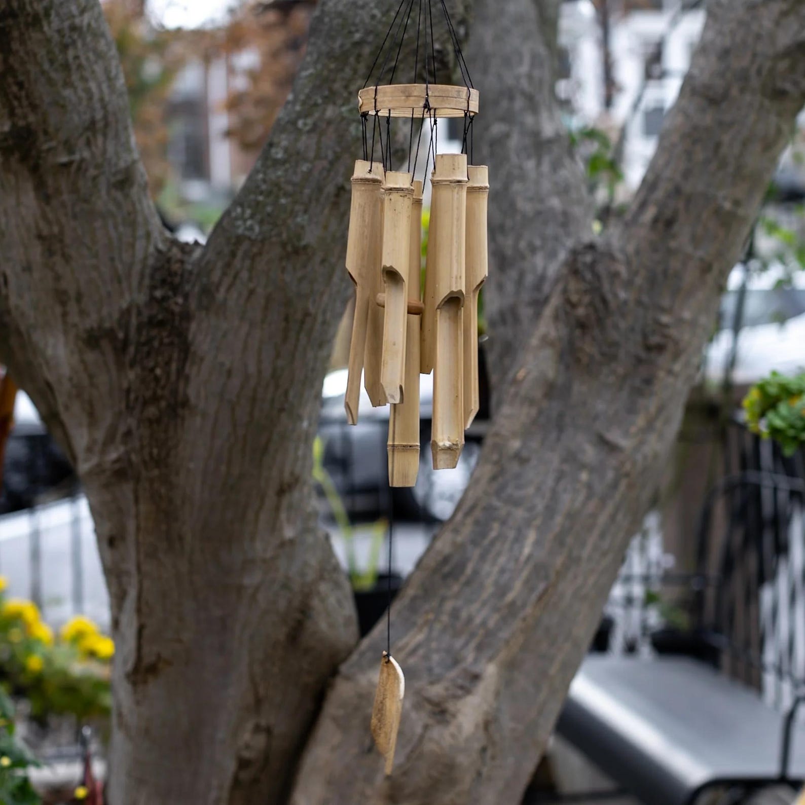 Bamboo Circle Wind Chimes - Etsy