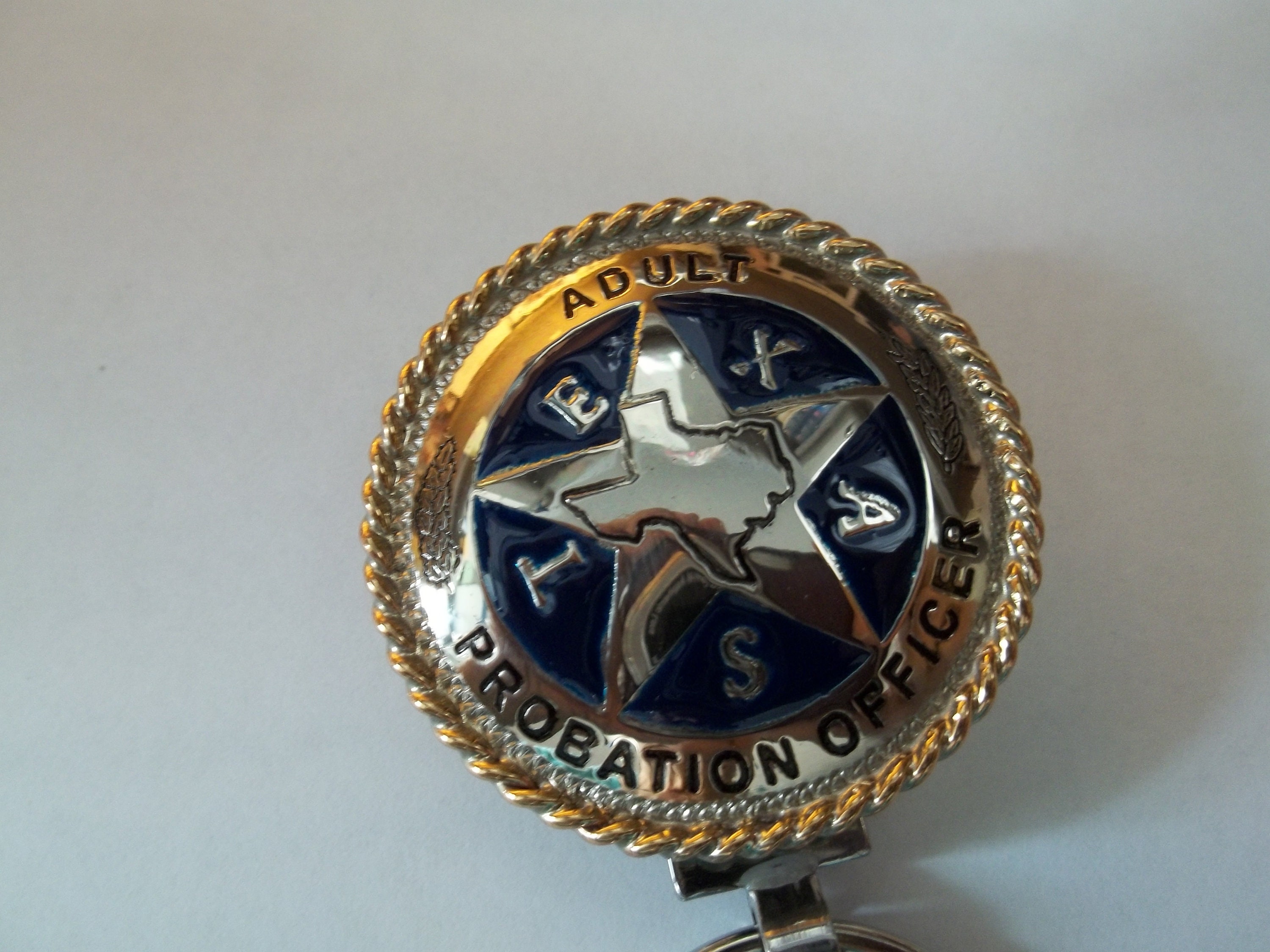 925 ADULT PROBATION OFFICER Bright Blue Center Silver Star T - Etsy