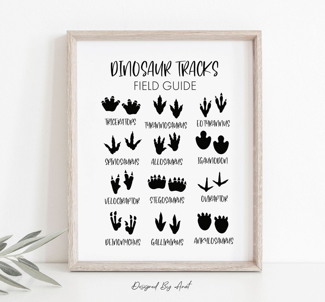 Dinosaur Tracks Field Guide Sign Dinosaur Footprints Game - Etsy