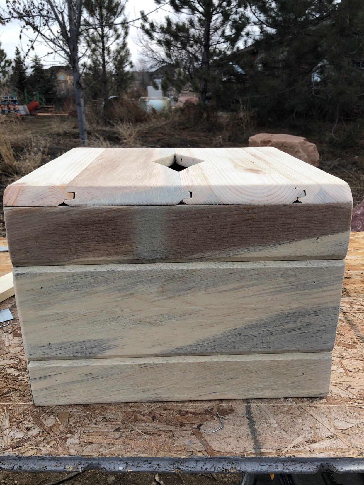 Personal Yoni Steam Box - Etsy